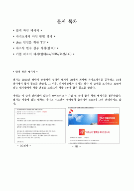 [자기 소개서] 자소서 작성 방법_합격必 자기소개서 가이드(2010-2011)-1페이지