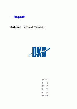 Critical Velocity 레포트 자료-1페이지