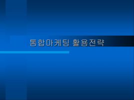 통합마케팅 활용전략-1페이지