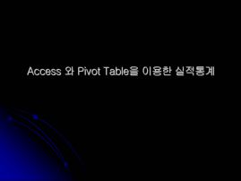 Access 와 Pivot Table을 이용한 실적통계-1페이지