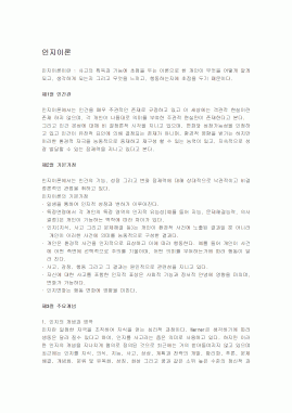 인지이론 요약-1페이지