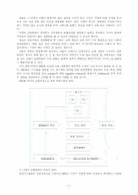 MIS에대해 레포트 자료-1페이지