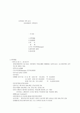 니카라과지역조사-1페이지