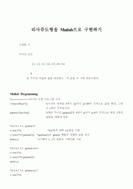 리사쥬도형을 Matlab으로 구현하기-1페이지