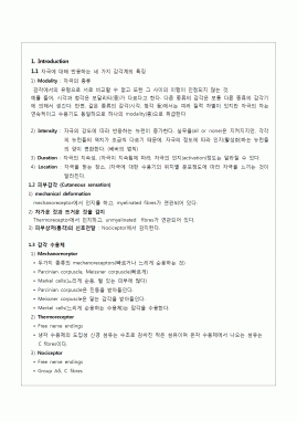 자극과 감각 레포트 자료-1페이지