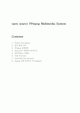  open source FFmpeg Multimedia System-1페이지