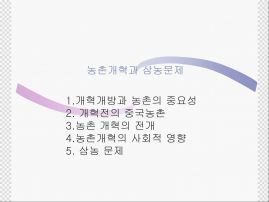 농촌개혁과 삼농문제-1페이지
