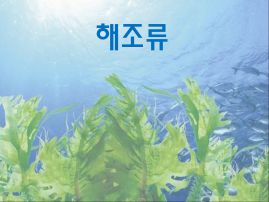 [호텔조리]재료학발표자료(해조류)-1페이지