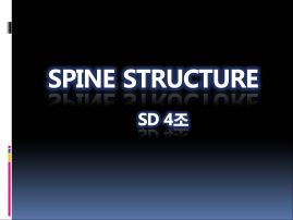 sd4조 spine structure-1페이지