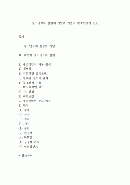 청소년복지 실천의 개념과 개별적 청소년복지 실천-1페이지