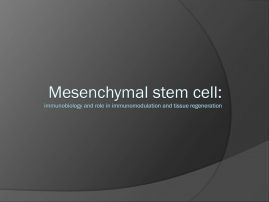 Mesenchymal stem cell-1페이지