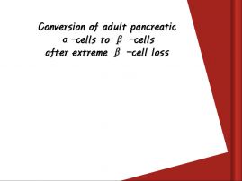 Conversion of adult pancreatic α-cells to β cells after extreme β cell loss-1페이지