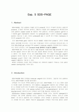[분자유전학실험]5.SDS-PAGE-1페이지