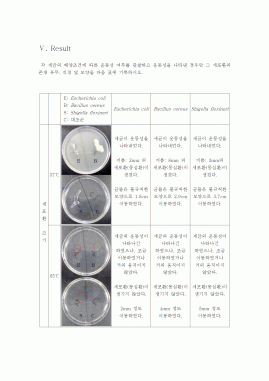 [미생물실험]5.미생물의 주화성-1페이지