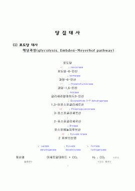 고급영양학1 레포트 자료-1페이지