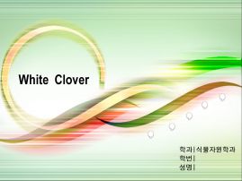 화이트클로버-1페이지