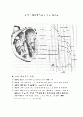 심장활동의 기전과 심전도_ECG-1페이지