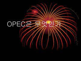 OPEC은 무엇인가-1페이지