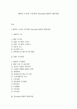 ERP의 구조와 구축전략  Extended ERP의 향후전망-1페이지