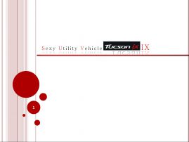 2010투산IX 레포트 자료-1페이지