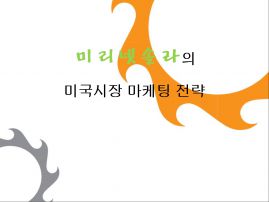 미리넷솔라PPT자료-1페이지