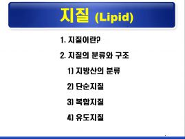 지질 (Lipid) 레포트 자료-1페이지