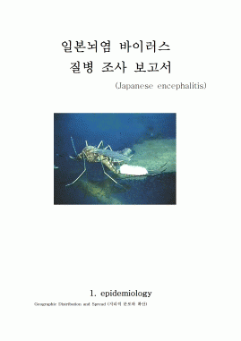 일본뇌염 바이러스  -1페이지