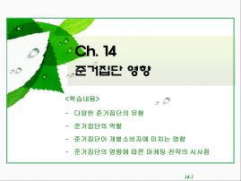 준거집단 영향   -1페이지