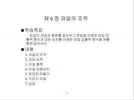 파일의 조작 레포트 자료-1페이지