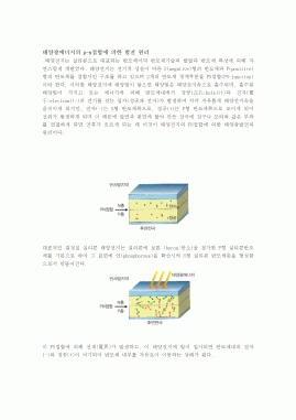 풍력 태양광 발전 원리-1페이지