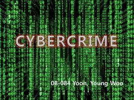 CYBERCRIME 레포트 자료-1페이지