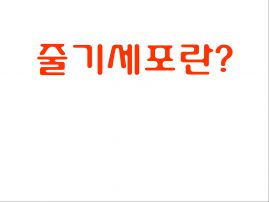 줄기세포(stem cell)-1페이지