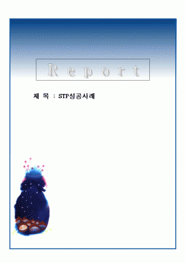 STP성공사례 레포트 자료-1페이지