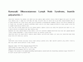 Kawasaki(가와사키)-1페이지