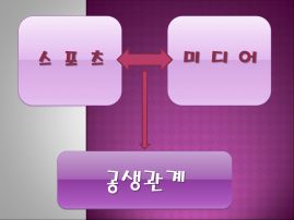 스포츠와 미디어의 관계 PT-1페이지