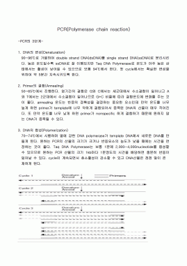pcr 레포트 자료-1페이지