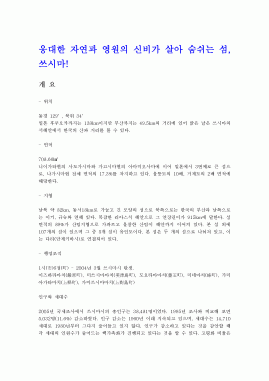 쓰시마 개요 레포트 자료-1페이지
