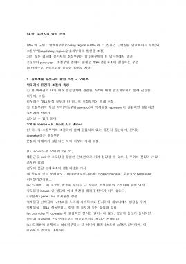 14장. 유전자의 발현 조절-1페이지