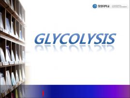 Glycolysis 에 대해서-1페이지