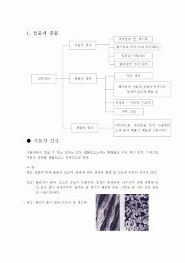 섬유의 종류 레포트 자료-1페이지