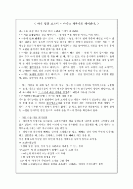 대상영속성(3)-1페이지