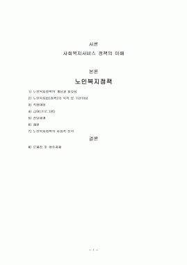 노인복지정책 - 사회복지서비스 정책의 이해-1페이지