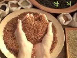 쌀겨 (rice bran)-1페이지