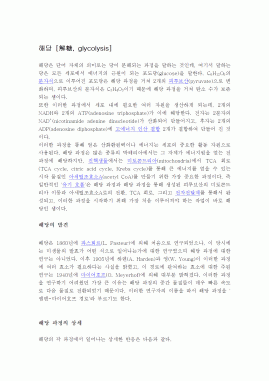 해당(glycolysis)-1페이지