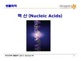 9.+핵산(Nucleic Acids)-1페이지