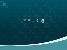 프루그 화렌 레포트 자료-1페이지