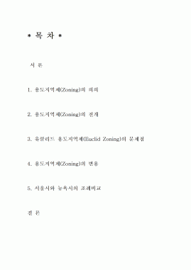 미국의 zoning 레포트 자료-1페이지