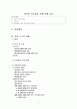 아동용 지능검사, 실제 사례 조사-1페이지