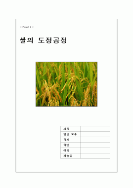 쌀의 도정공정-1페이지
