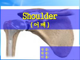 어깨 (Shoulder) 레포트 자료-1페이지